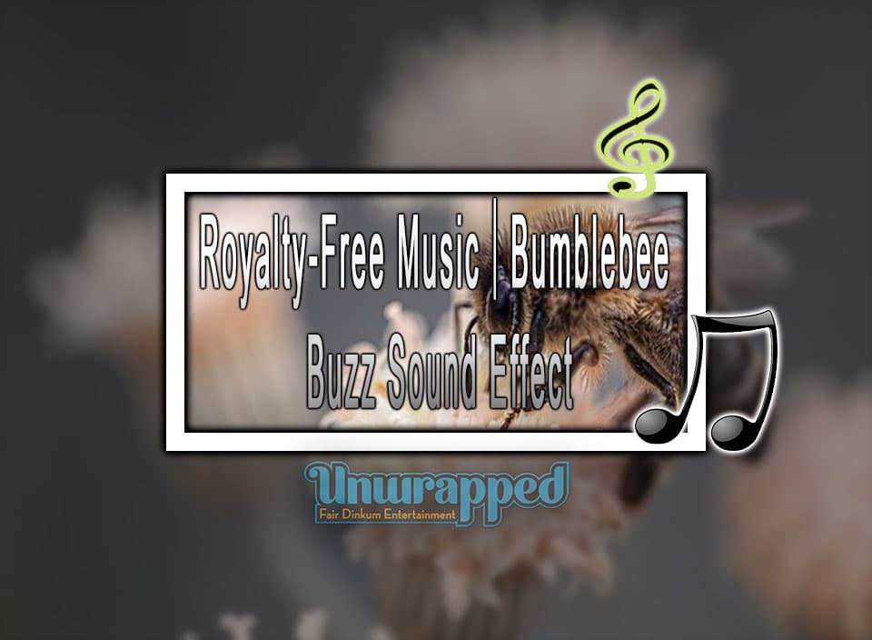 Royalty-Free Music｜Bumblebee Buzz Sound Effect