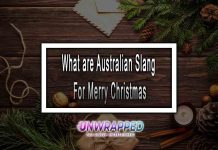 Gen Z Slang Guide: 100 Essential Terms to Speak the Language of Youth