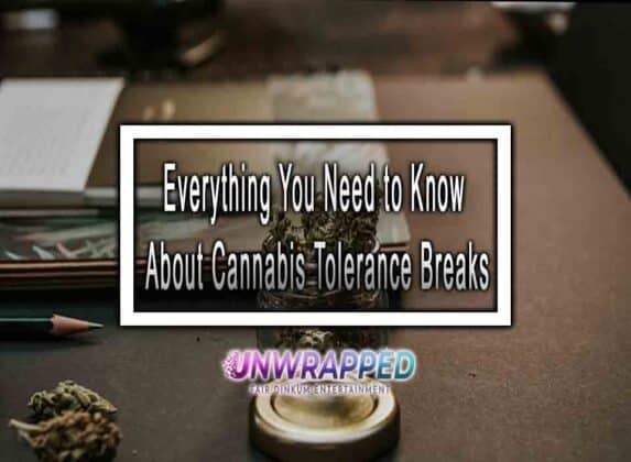 Everything You Need to Know About Cannabis Tolerance Breaks