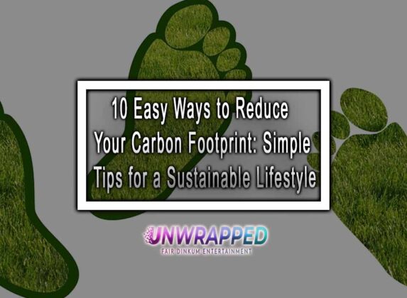 10 Easy Ways to Reduce Your Carbon Footprint: Simple Tips for a ...