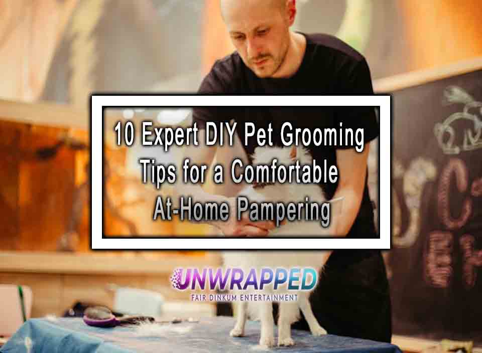 10 Expert DIY Pet Grooming Tips for a Comfortable At-Home Pampering