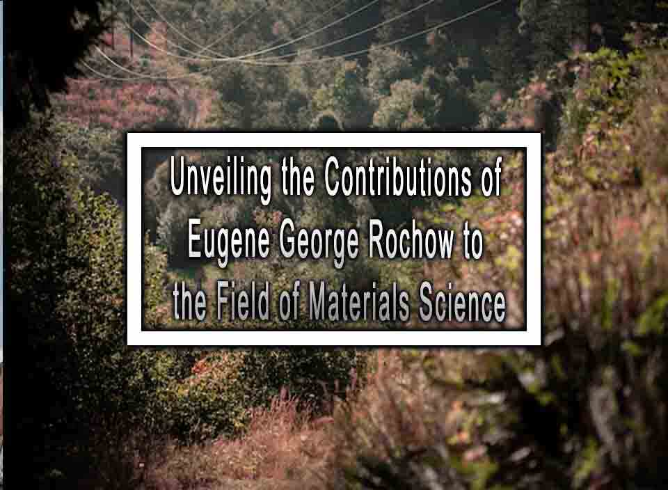 Unveiling the Contributions of Eugene George Rochow to the Field of ...