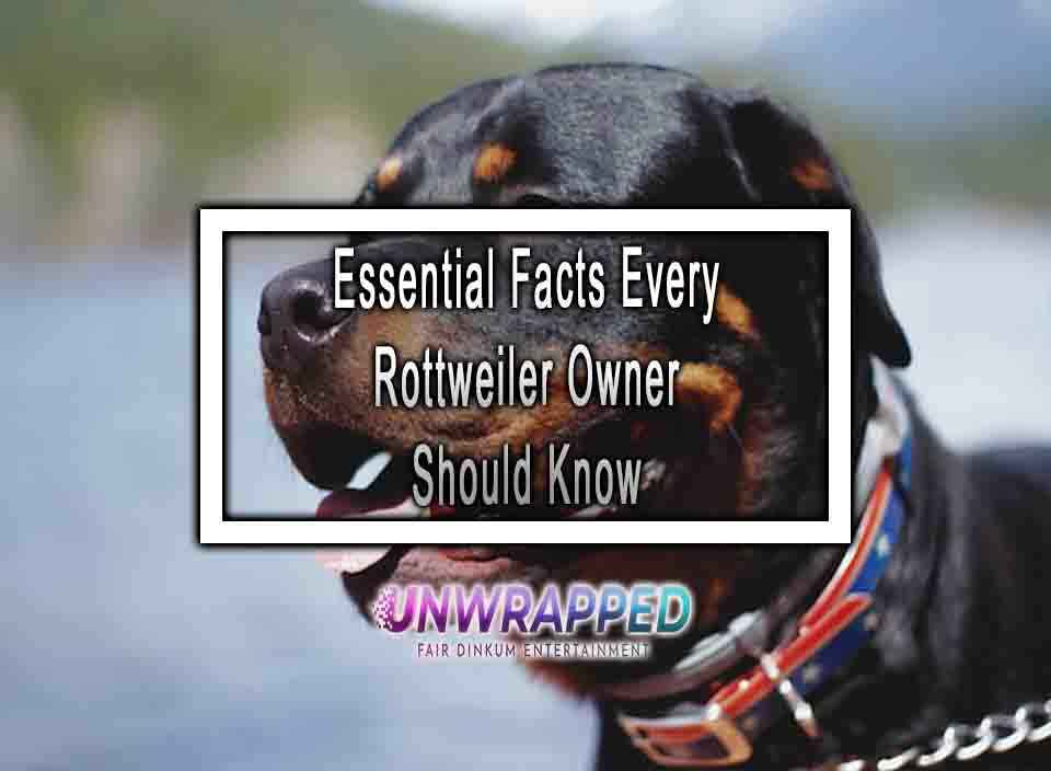 Essential Facts Every Rottweiler Owner Should Know