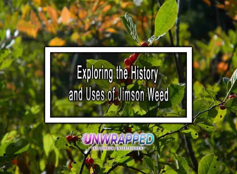 Exploring the History and Uses of Jimson Weed