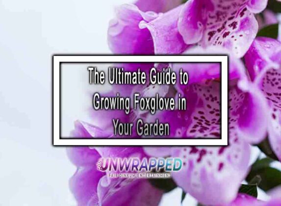 The Ultimate Guide to Growing Foxglove in Your Garden
