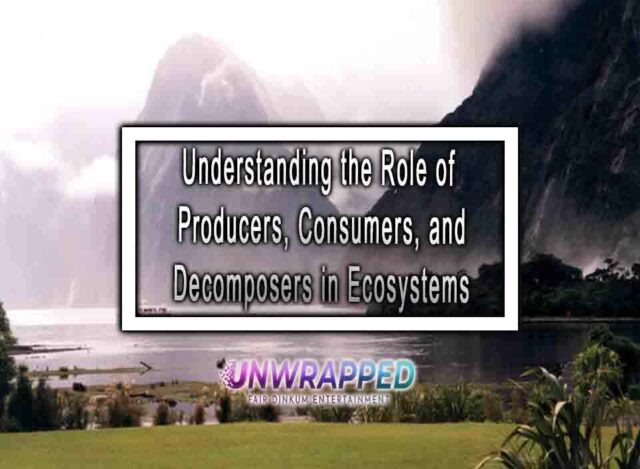 Understanding the Role of Producers, Consumers, and Decomposers in ...