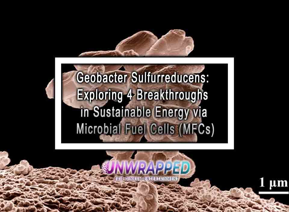 Geobacter Sulfurreducens: Exploring 4 Breakthroughs in Sustainable ...