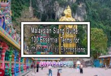 Pakistani Slang Guide: 100 Essential Terms to Sound Like a Local