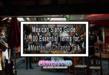 Gen Z Slang Guide: 100 Essential Terms to Speak the Language of Youth