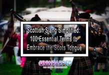 Gen Z Slang Guide: 100 Essential Terms to Speak the Language of Youth