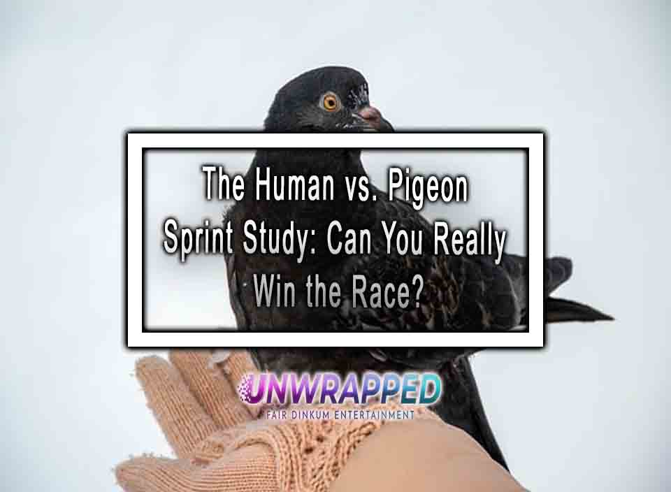 The Human vs. Pigeon Sprint Study: Can You Really Win the Race?
