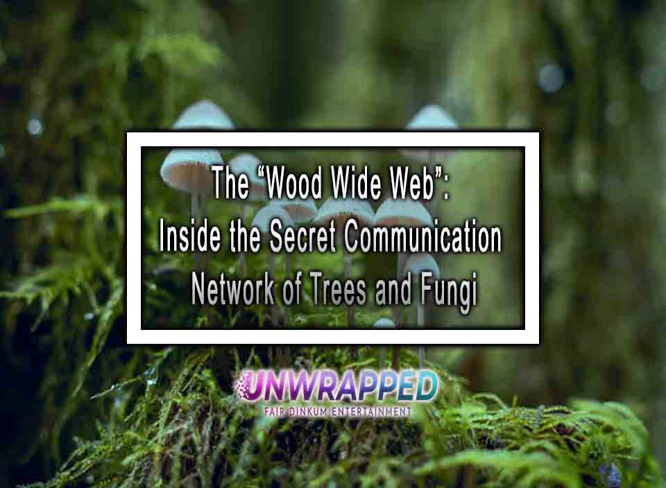The “Wood Wide Web”: Inside the Secret Communication Network of Trees ...