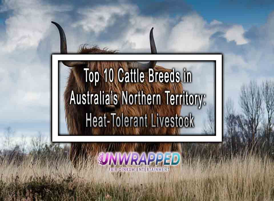 Top 10 Cattle Breeds in Australia’s Northern Territory: Heat-Tolerant ...