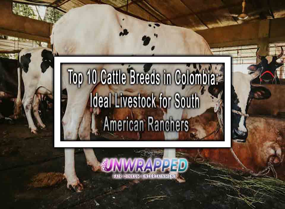 Top 10 Cattle Breeds in Colombia: Ideal Livestock for South American ...