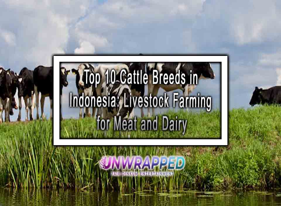 Top 10 Cattle Breeds in Indonesia: Livestock Farming for Meat and Dairy