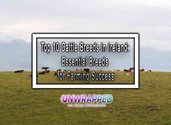 Top 10 Cattle Breeds in Ireland: Essential Breeds for Farming Success