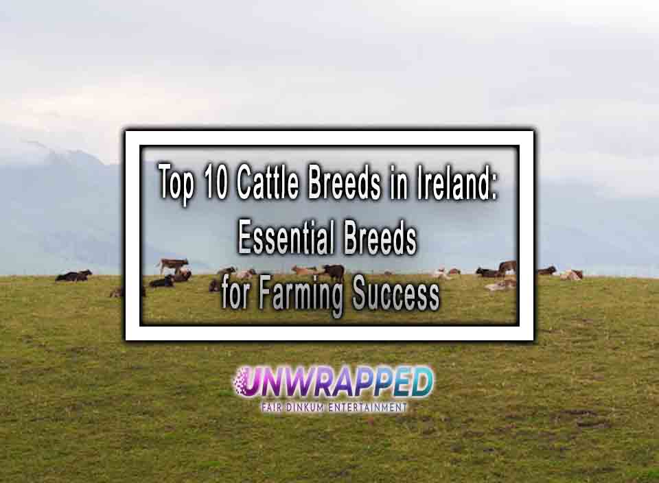Top 10 Cattle Breeds in Ireland: Essential Breeds for Farming Success