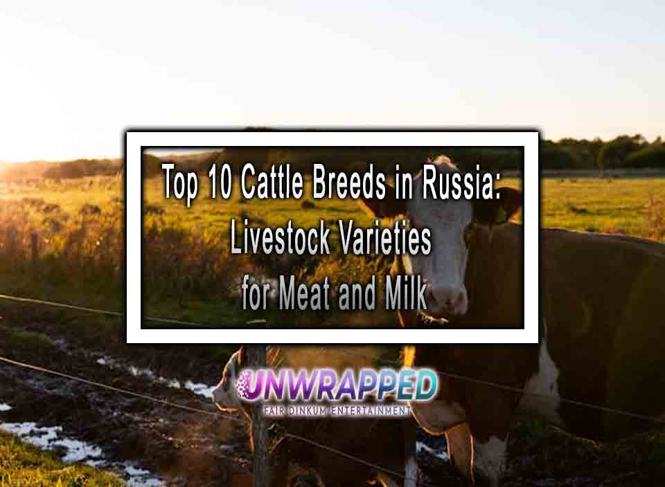 Top 10 Cattle Breeds in Russia: Livestock Varieties for Meat and Milk