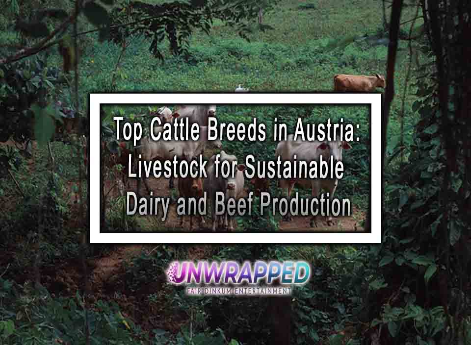 Top Cattle Breeds in Austria: Livestock for Sustainable Dairy and Beef ...