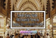 Gen Z Slang Guide: 100 Essential Terms to Speak the Language of Youth