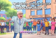 What Is Woke Culture? A Beginner's Guide to Understanding the Movement
