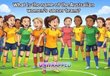 AFLW: Everything You Need to Know About Women’s Australian Rules Football