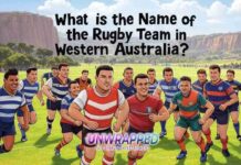 Super Rugby: Australia’s Premier Rugby Union League Explained