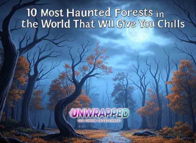 10 Most Haunted Forests in the World That Will Give You Chills